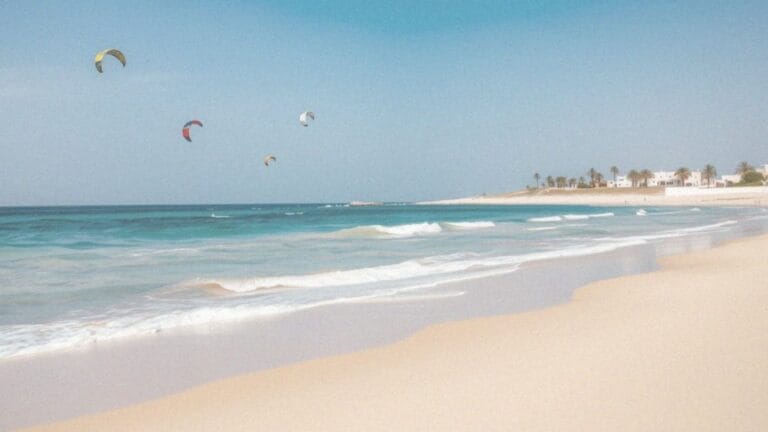 Djerba mapa turystyczna - odkryj najważniejsze atrakcje wyspy